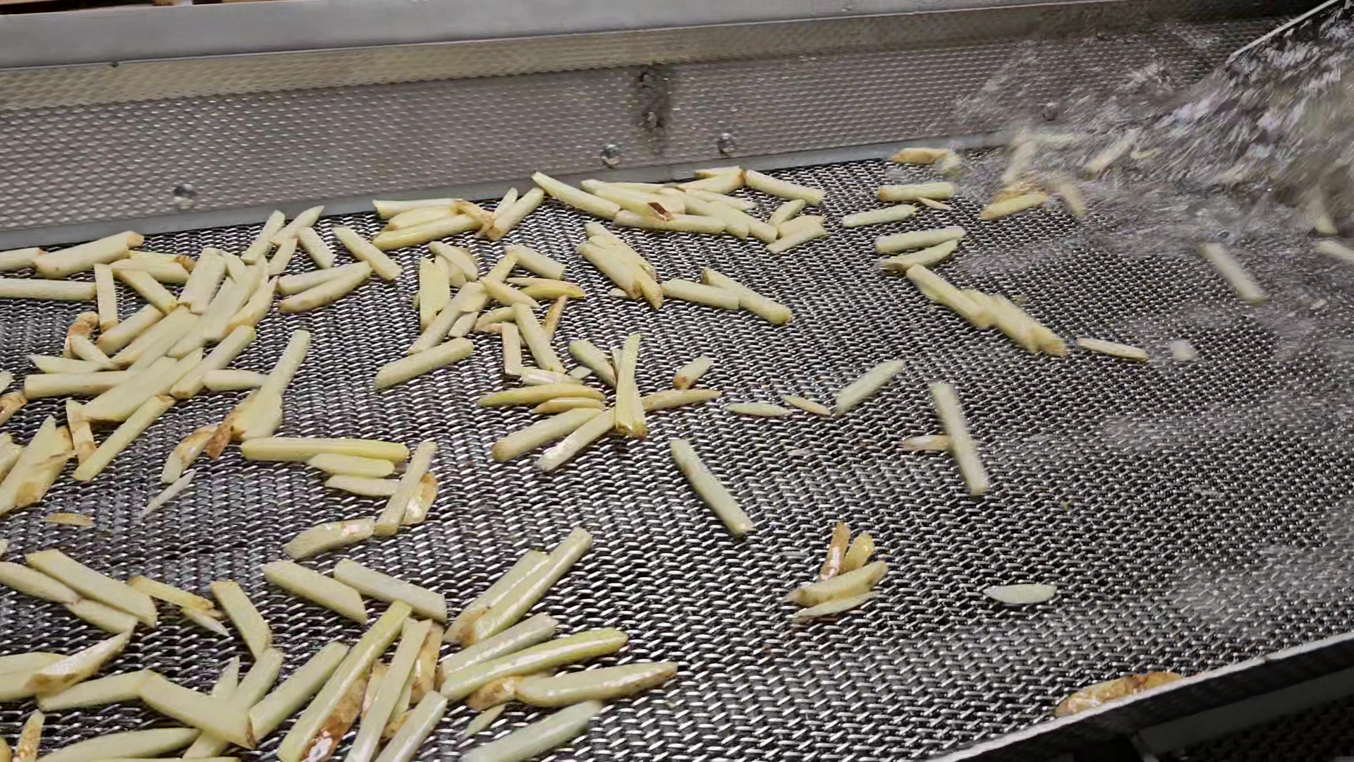 Major Indian Frozen Food Manufacturer Chooses Compact Hydrocutter ...