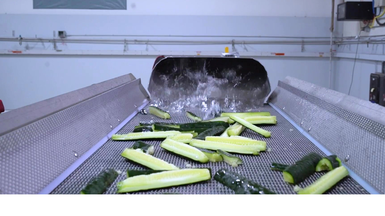 Industrial Potato & Produce Cutting Equipment